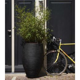 Vase Rib Elegant Deluxe 45x72 - Schwarz - Prolenta Premium