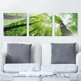 MICASIA Glasbild mehrteilig - Bäume des Lebens 3-teilig - Waldbild Glas Größe HxB: 3x 30x30cm