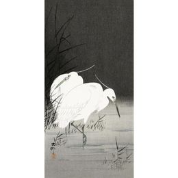 Close Up Two Egrets In The Reeds Kunstdruck Ohara Koson Papier 250 gr. matt