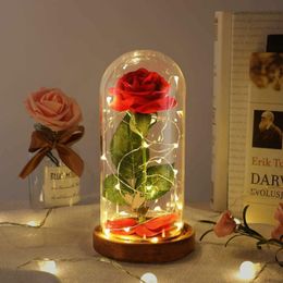 Rosen-Set "Die Schöne und das Biest" – Muttertags-Überraschungsgeschenk für Mama – Ewige Rose, Glaskuppel mit LED-Lichtern, Geschenk für die Frau,