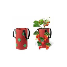 2er-Pack Erdbeer-Pflanzbeutel – 13 Löcher – 10 Liter – Erdbeer-Pflanzbeutel aus Filz zum Aufhängen für drinnen und draußen (rot) - Minkurow