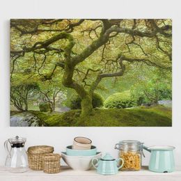 MICASIA Leinwandbild - Grüner Japanischer Garten - Quer 2:3 Größe HxB: 80cm x 120cm