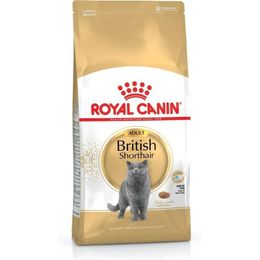 Royal Canin FBN Britisch Kurzhaar Adult Trockenfutter für Katzen, 2 kg