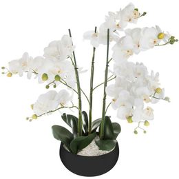 Atmosphera - Künstliche Orchidee - schwarzer Keramiktopf h 65 cm Schwarz