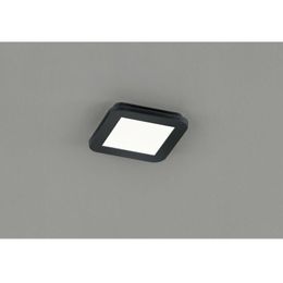 Iperbriko - Camillus LED-Deckenleuchte, quadratisch, dimmbar, schwarz, IP44, 17 x 17 cm, Trio-Beleuchtung