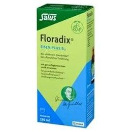 Salus Floradix Eisen plus B12 vegan Tonikum 250 ml