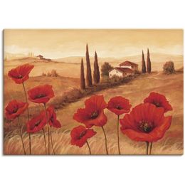 Wandbild Artland "Mohnblumen in der Toskana" Bilder Gr. B/H: 100 cm x 70 cm, Leinwandbild Europa, 1 St., braun Kunstdrucke