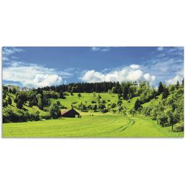 Wandbild Artland "Traumhafte Landschaft im Schwarzwald" Bilder Gr. B/H: 100 cm x 50 cm, Alu-Dibond-Druck Wiesen & Baumbilder Querformat, 1 St., grün Kunstdrucke