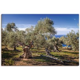 Wandbild Artland "Olivenhain in der Serra de Tramuntana" Bilder Gr. B/H: 90 cm x 60 cm, Leinwandbild Küstenbilder Querformat, 1 St., grün Kunstdrucke