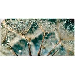 Wandbild Artland "Pusteblume Regenschauer" Bilder Gr. B/H: 150 cm x 75 cm, Wandaufkleber - Vinyl Blumen, 1 St., grau Kunstdrucke