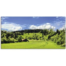 Wandbild Artland "Traumhafte Landschaft im Schwarzwald" Bilder Gr. B/H: 100 cm x 50 cm, Leinwandbild Wiesen & Baumbilder Querformat, 1 St., grün Kunstdrucke