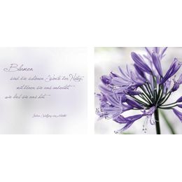 Leinwandbild queence "Worte der Natur" Bilder Gr. B/H/T: 80 cm x 40 cm x 2 cm, bunt Leinwandbilder