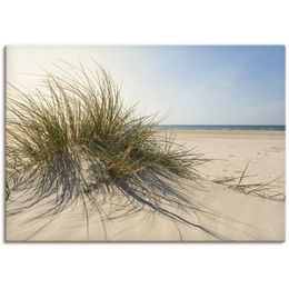 Wandbild Artland "Strandgras" Bilder Gr. B/H: 100 cm x 70 cm, Leinwandbild Küste, 1 St., beige (naturfarben) Kunstdrucke
