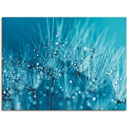 Wandbild Artland "Blaue glitzernde Pusteblume" Bilder Gr. B/H: 80 cm x 60 cm, Leinwandbild Blumen, 1 St., blau Kunstdrucke