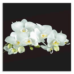 Küchenrückwand Artland "Weiße Orchidee auf schwarzem Hintergrund" Spritzschutzwände Gr. B/H: 60 cm x 60 cm, weiß Küchendekoration