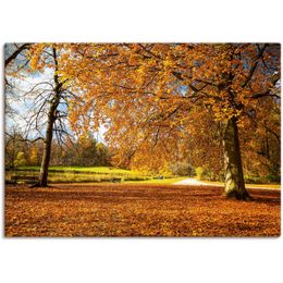 Wandbild Artland "Herbst bei Schlosses Nymphenburg" Bilder Gr. B/H: 100 cm x 70 cm, Leinwandbild Wiesen & Bäume, 1 St., braun Kunstdrucke