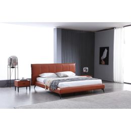 JVmoebel Bett Polster Doppel Design Luxus Bett Schlafzimmer Italienisches Leder