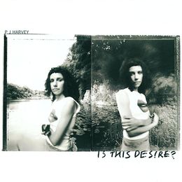 Island Is This Desire - PJ Harvey. (CD)