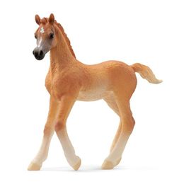 Schleich® 13984 Horse Club - Araber Fohlen