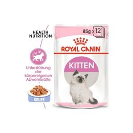 Royal Canin Cat - Royal Canin Kitten in Gelee - 12 x 85 g nasses Katzenfutter in Pouchbeutel