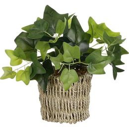 Mica Decorations - Mica Kunstpflanze Efeu im Korb grün 33 x 12 cm Kunstpflanzen