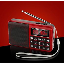 FM/AM(MW)/SW/USB/Micro-SD/MP3 Tragbares Radio, Radioset mit großen Tasten und großem Display, tragbares Radio, wiederaufladbarer 1200-mAh-Akku (blau)