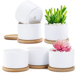 Petites Ecrevisses - 6er Pack Pflanztöpfe aus Keramik 7cm Sukkulenten Töpfe Weiß Rund Blumentopf mit Bambus Tablett