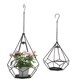 DanDiBo Blumenampel Innen Metall Wand Hängepflanzen 64 cm & 82 cm 96075 2er Set mit Tür 6 Ecken Pflanzenhänger Blumenhänger Topfhänger Blumen