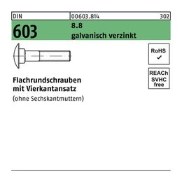 Flachrundschraube DIN 603 Vierkantansatz M12x40 8.8 galv.verz. 100St.