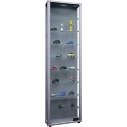 ebuy24 Edana Maxi Vitrinenschrank 1 Glastür, Glasvitrine mit 8 Glasböden Silberfarbig.