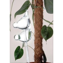 2er-Set, Blumenbewässerung VÖGEL, Bewässerungskugeln für Pflanzen, transparent, 36 x 10 cm