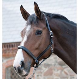 CATAGO Horse Guard Lederhalfter - schwarz - Vollblut