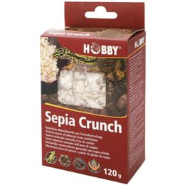 Sepia Crunch Stücke aus Sepiaschale zur Nahrungsergänzung - 120 g - HOBBY