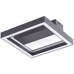 Smart LED-Deckenleuchte Tjado, 30 cm, schwarz, Tuya - Schwarz, weiß - LUCANDE