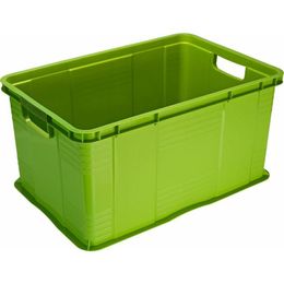 Aufbewahrungsbox Agilo A3 55 l grün 59 x 39 x 31 cm (l x b x h) Boxen, Körbchen & Kisten - Rotho
