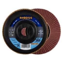 Rhodius Abrasives - rhodius lsa P1, 10 Stück, 125 mm, Korn 80, Fächerscheibe
