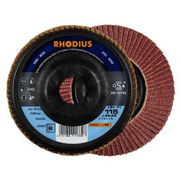 Rhodius Abrasives - rhodius lsa P1, 10 Stück, 115 mm, Korn 60, Fächerscheibe