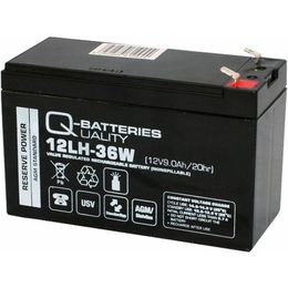 Quality Batteries - Ersatzakku 12V 9Ah für Teufel Rockster Air Lautsprecher