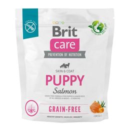 Brita - Trockenfutter für Welpen und junge Hunde aller Rassen (4 Wochen – 12 Monate). Brit Care Dog Grain-Free Puppy Salmon 1 kg