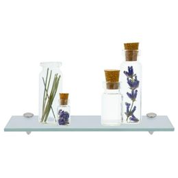 Tolletour - Glasablage Glasregal ideal für Bad. Dusche und zur modernen Dekoration mit Halterung aus Edelstahl 8 mm 60x10 cm Milchglas - Transparent