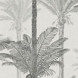 Sublime - Vliestapete - Exotische Palme - Grau - 1005x52 cm - Grau
