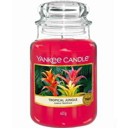 623g - Tropical Jungle - Housewarmer Duftkerze großes Glas - yankee candle