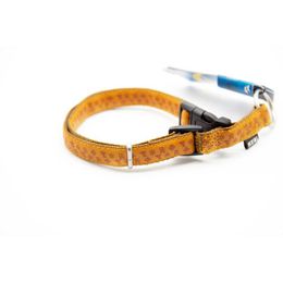 Hunde-Halsband Premium l - xl, 45-65 cm - Trixie