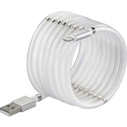 Renkforce - USB-Kabel usb 2.0 usb-c® Stecker, Apple Lightning Stecker 2.00 m Weiß TO-6897015