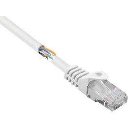 RF-5043844 RJ45 Netzwerkkabel, Patchkabel cat 5e u/utp 0.15 m Weiß mit Rastnasenschutz 1 s - Renkforce