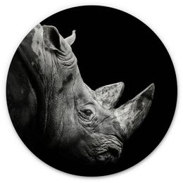 K&L WALL ART Alu-Dibond-Poster Rund Metalloptik Wandbild Safari Rhinozeros Fotografie Nashorn Meermann ø 30cm - schwarz