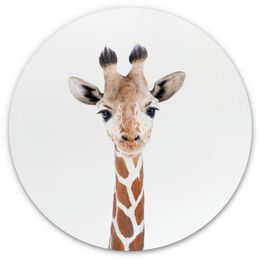 K&L WALL ART K&l Wall Art - Alu-Dibond-Poster Rund Metalloptik Wandbild Kinderzimmer Deko Baby Giraffe Safari Sisi&Seb ø 30cm - weiß