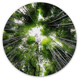 K&L WALL ART Alu-Dibond-Poster Rund Metalloptik Wandbild Wald Baum des Lebens Natur Japan Hugonnard ø 100cm - grün