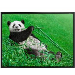 K&L WALL ART Poster Waldtiere Bambus Panda 30x24cm Kinderzimmer Posterpapier Wandbild - Mehrfarbig