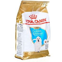 Royal Canin - bhn Golden Retriever Puppy – Trockenfutter für Welpen – 3 kg